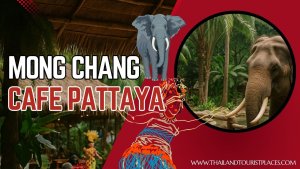 Mong Chang Cafe Pattaya - Thailand Tourist Places